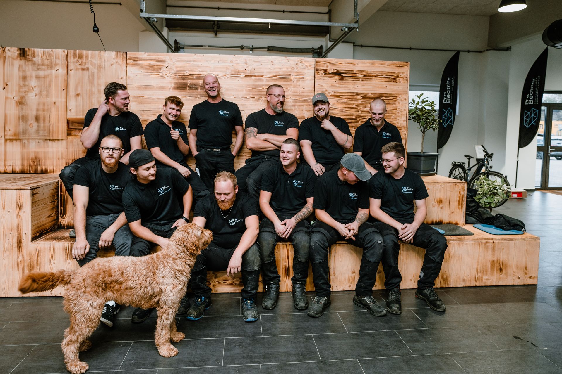 ProElectrify | Unser Team